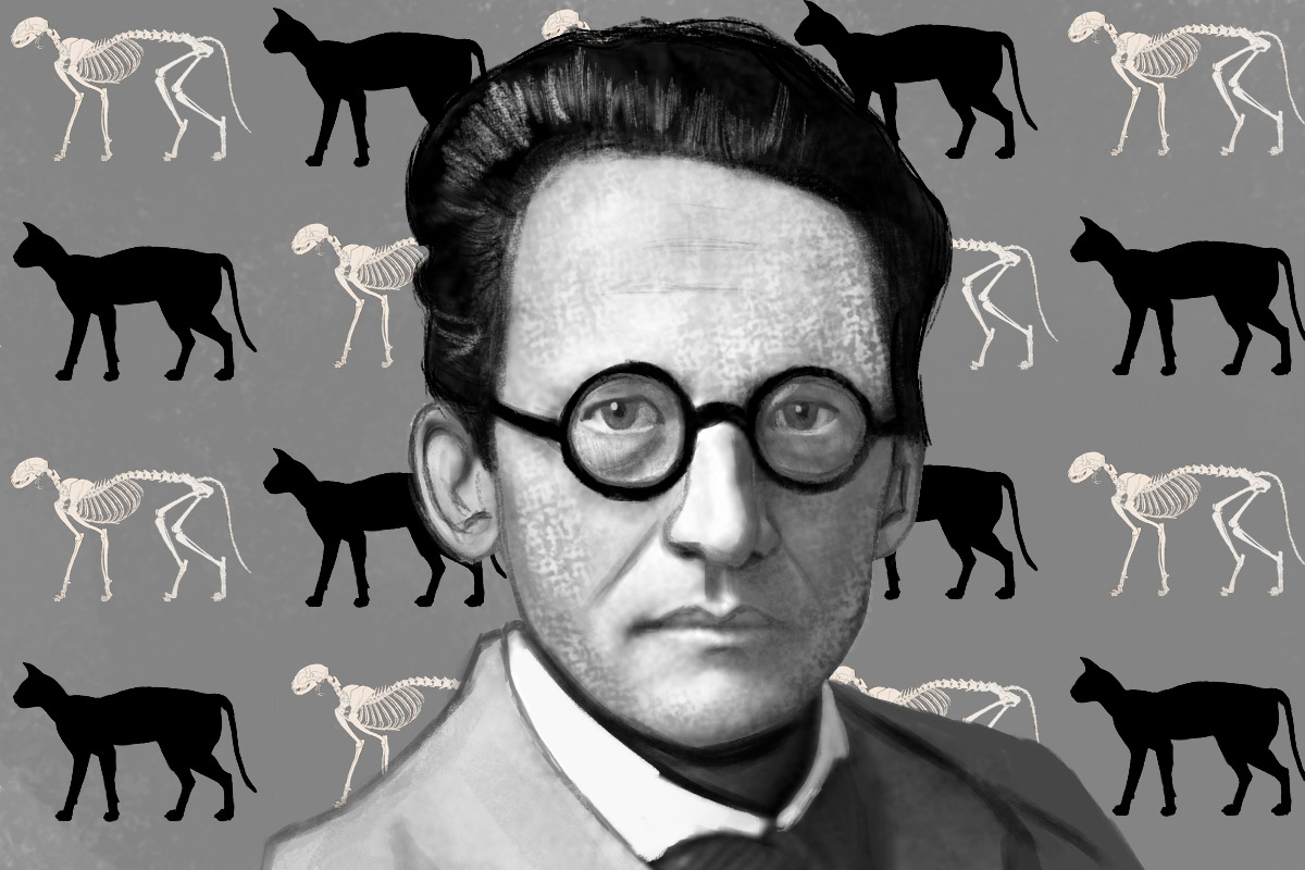 Erwin Schrödinger: un gato que mostró los límites de la ciencia - Amonite