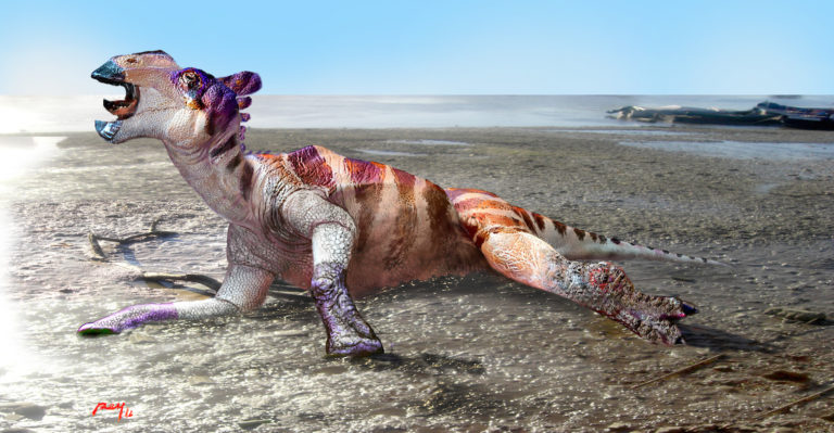 Latirhinus uitstlani - Amonite